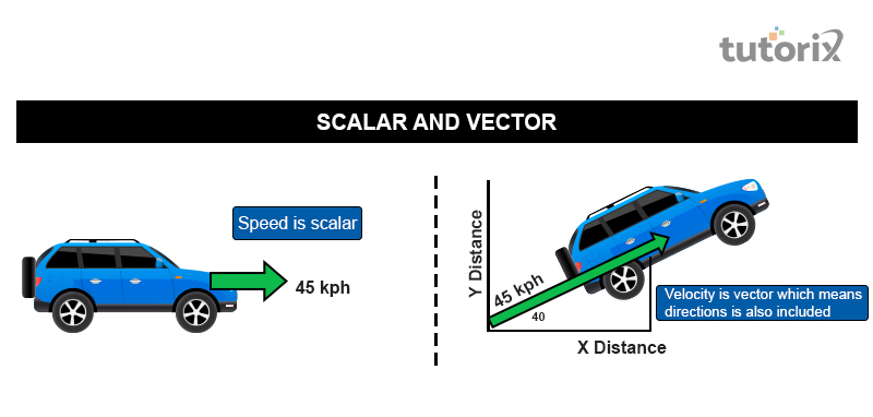 Difference Between Scalar and Vector Difference Between Scalar and Vector