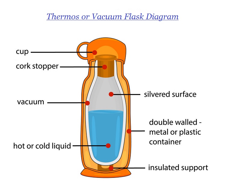 Thermos Flask Cross Section at Alfred Sullivan blog Thermos Flask Cross Section at Alfred Sullivan blog
