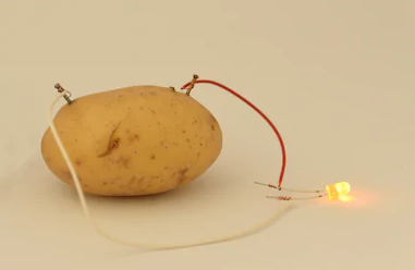 Potato Light Bulb Experiment Explanation | Americanwarmoms.org