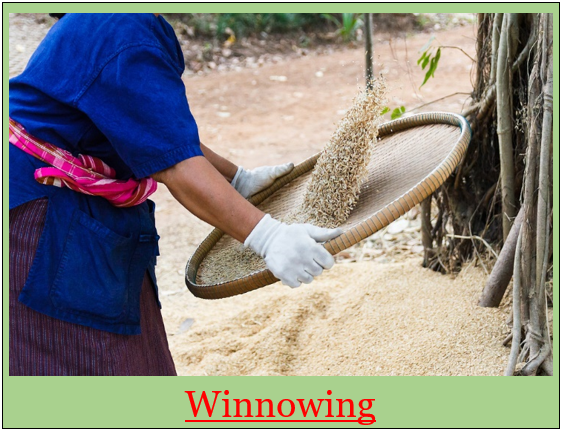 Define winnowing - Tutorix