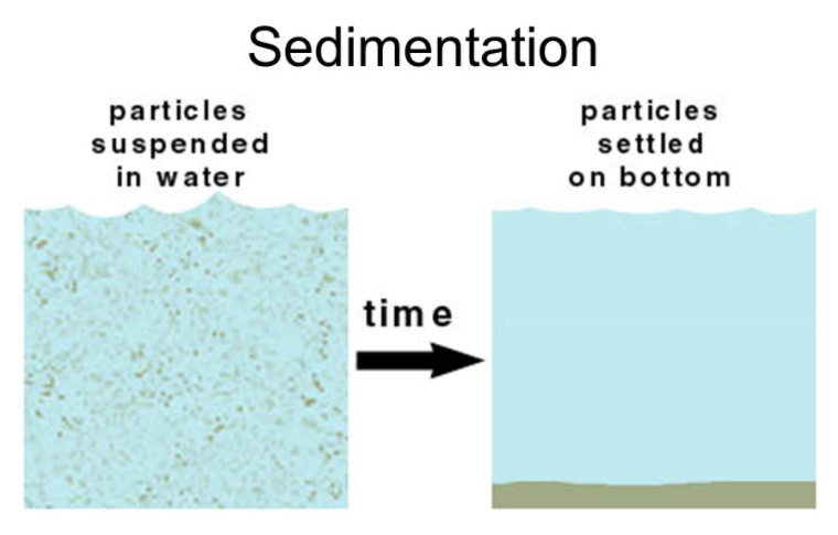Explain The Difference In Sedimentation And Decant Tutorix