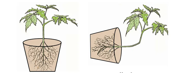 In an experimental setup pot Straight placed is ke - Tutorix