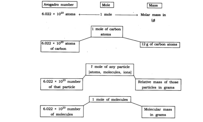 Show the relationship between mole Avogadro number - Tutorix