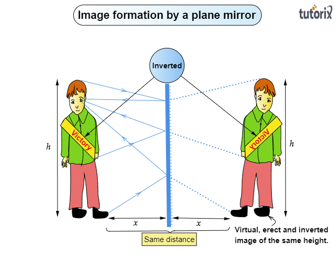 David Is Observing His Image In A Plane Mirror The Tutorix David Is Observing His Image In A Plane Mirror The Tutorix