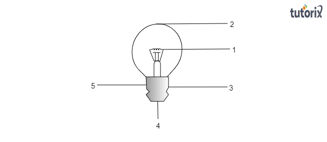 The Figure Shows A Bulb With Its Different Parts M Tutorix