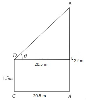 An observer 1 5 metres tall is 20 5 metres away fr - Tutorix