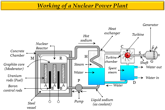 Nuclear Power Plant Diagram