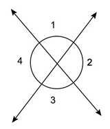 What is the meaning of transversal What are the an - Tutorix